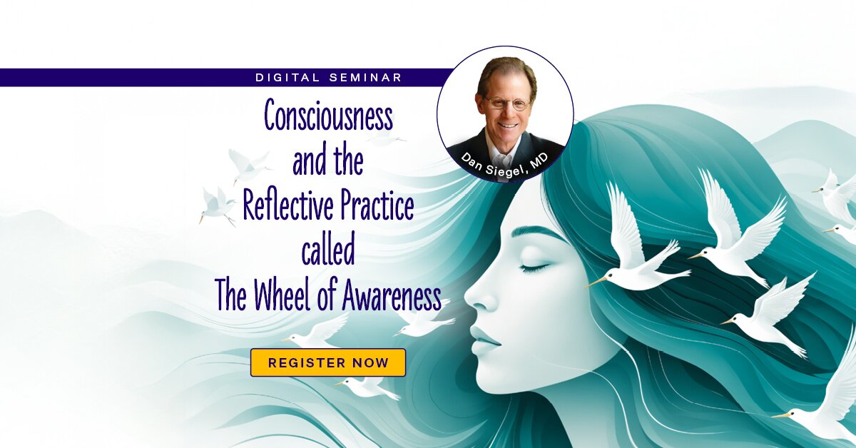 The First Domain of Integration: Consciousness and Dr. Siegel’s ...