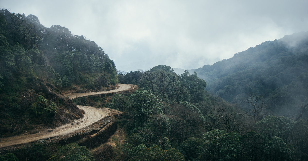 Using Metaphors from Nature in Walk and Talk Therapy